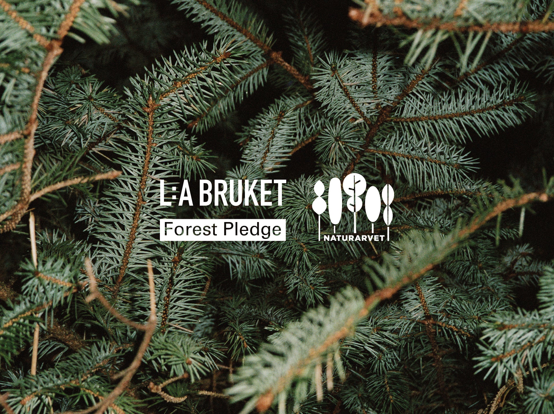 Forest Pledge – L:a Bruket